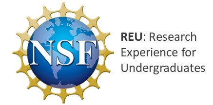 Undergraduate Research