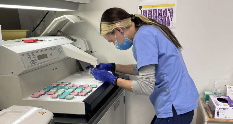 About the Assistant in Pathology Program – The University of Toledo