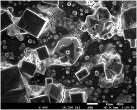 Scanning Electron Microscope Image Database