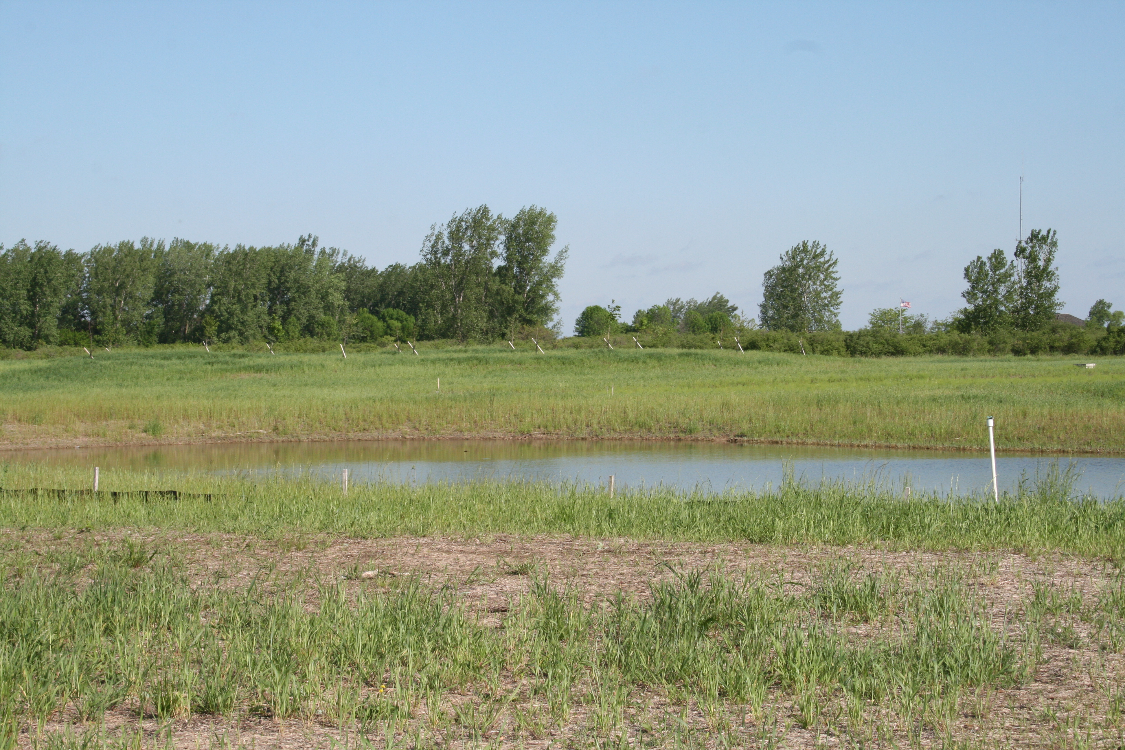 Wetland Restoration Pictures